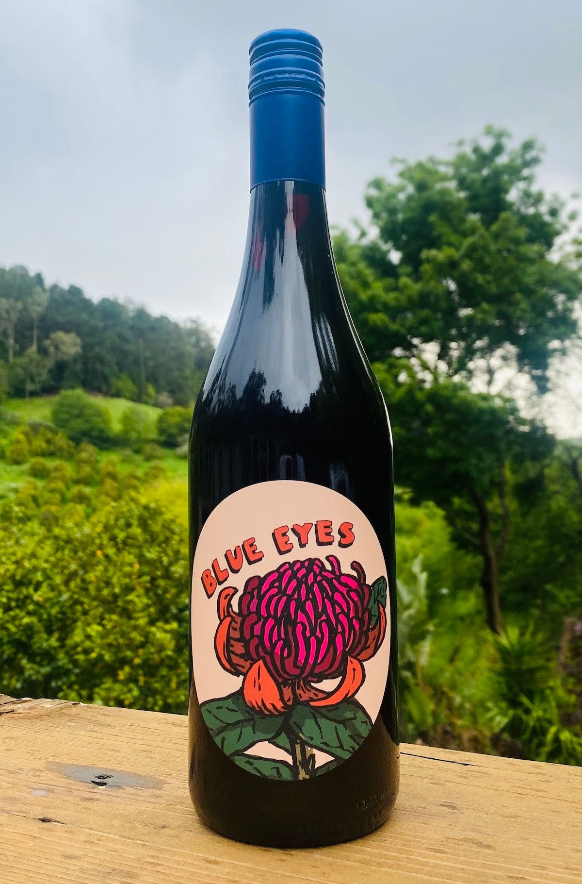Worlds Apart Wines 'Blue Eyes' Adelaide Hills Gamay 2021 | Worlds Apart ...